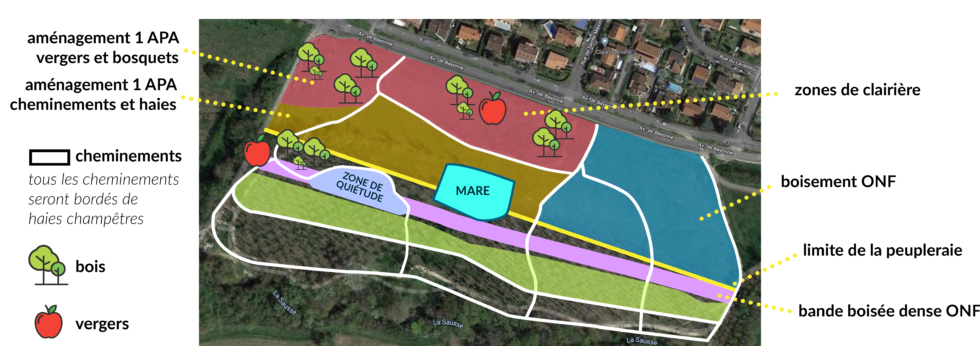 Une forêt d’agrément remplacera la peupleraie. - Ville de L'Union