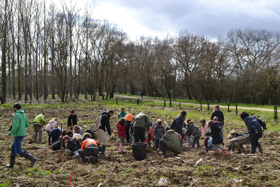 Participez à la plantation citoyenne de la micro-forêt de L'Union ...
