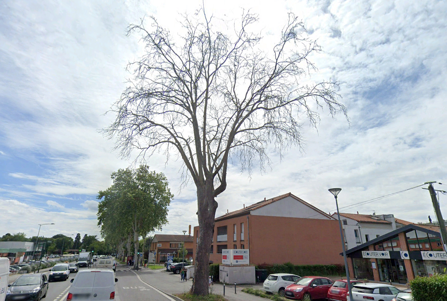 Abattage d’un platane pour des raisons de sécurité - Ville de L'Union